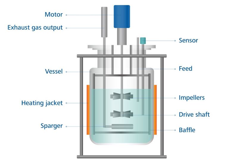 IKA - Bioreactors in Bioprocessing and How They Work