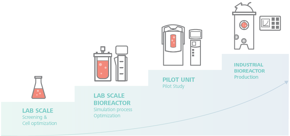 IKA - How to Choose the Right Bioreactor for Your Research